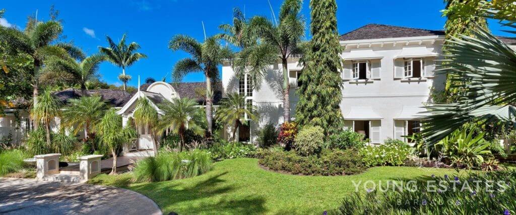 Rose of Sharon - Young Estates Barbados